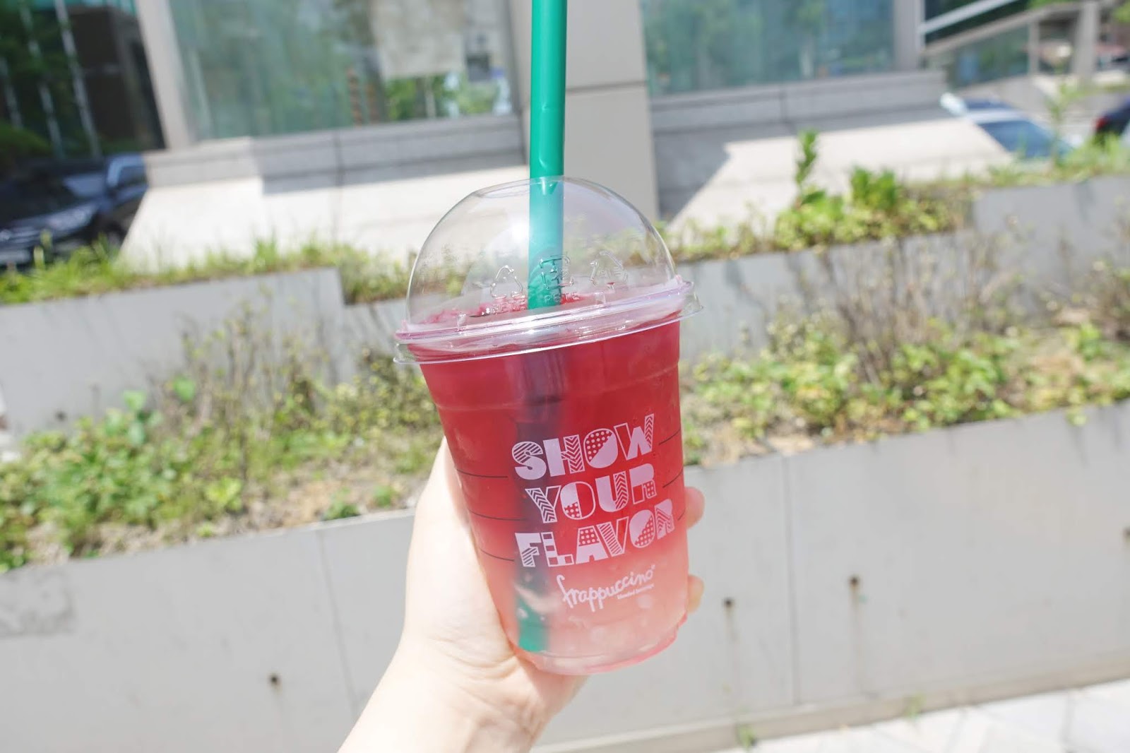 스타벅스 신메뉴 유스베리 리치 티 Starbucks Youthberry Lychee Tea