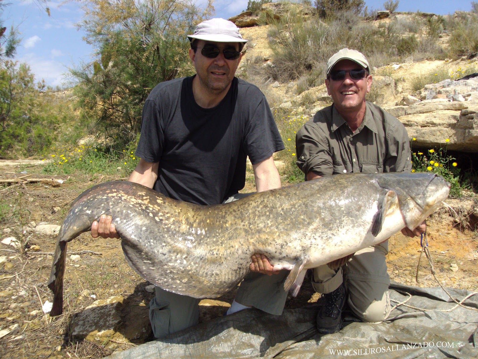 PESCA DEL SILURO EN EL EBRO: SILUROS A SPINNING