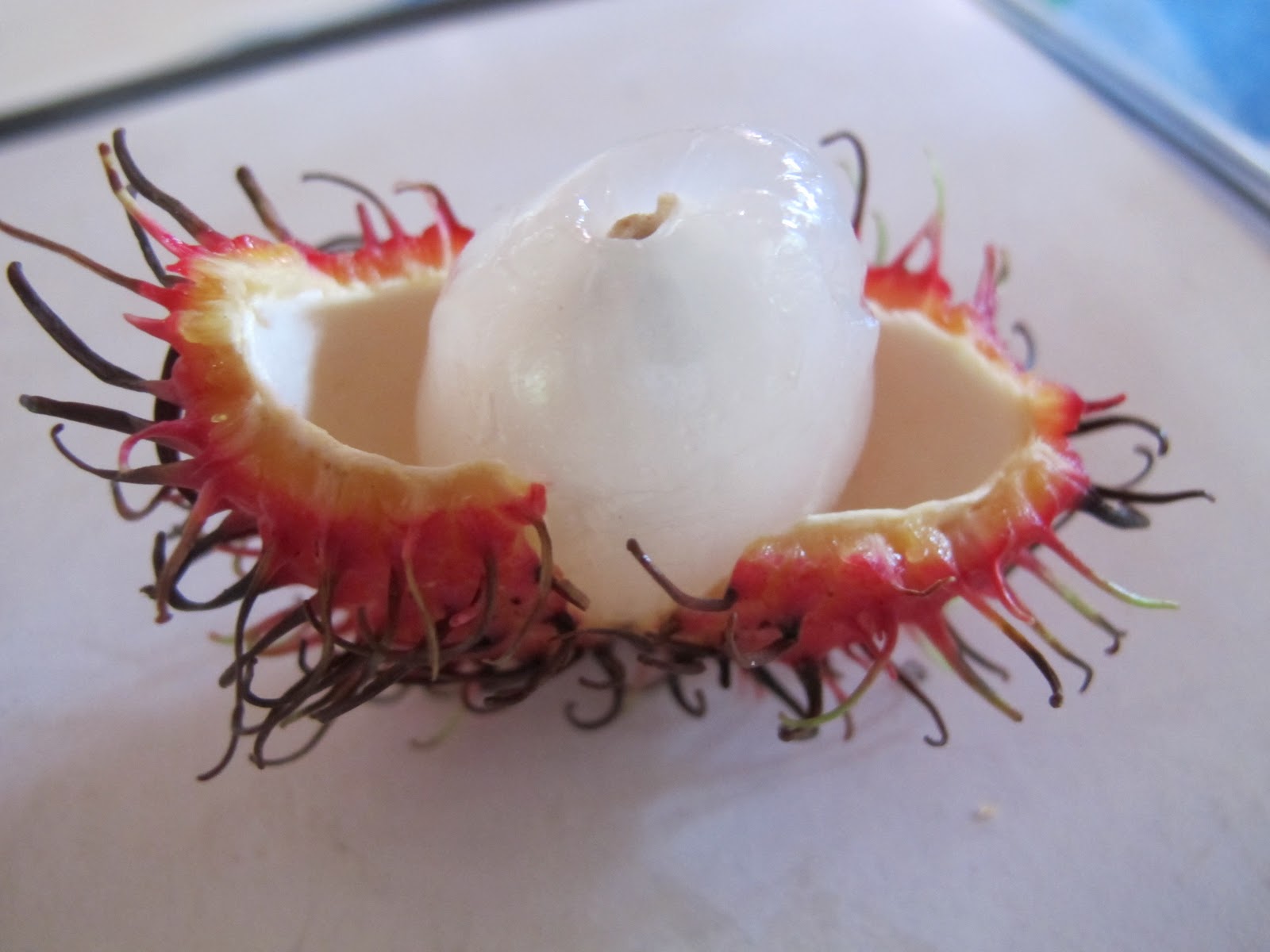 Off the Grid: A Step-by-Step Guide to Eating a Litchi