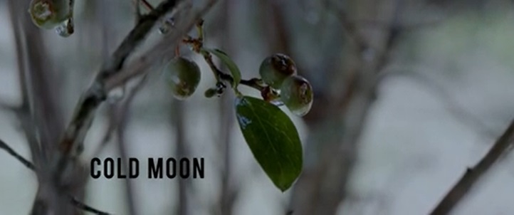Cold Moon Movie Review