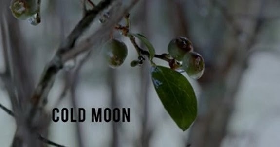 Cold Moon Movie Review
