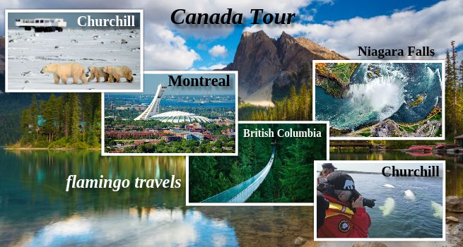 Experience The Best of Culture and Lifestyle with Canada Tour Packages