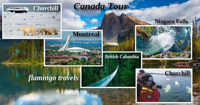Experience The Best of Culture and Lifestyle with Canada Tour Packages