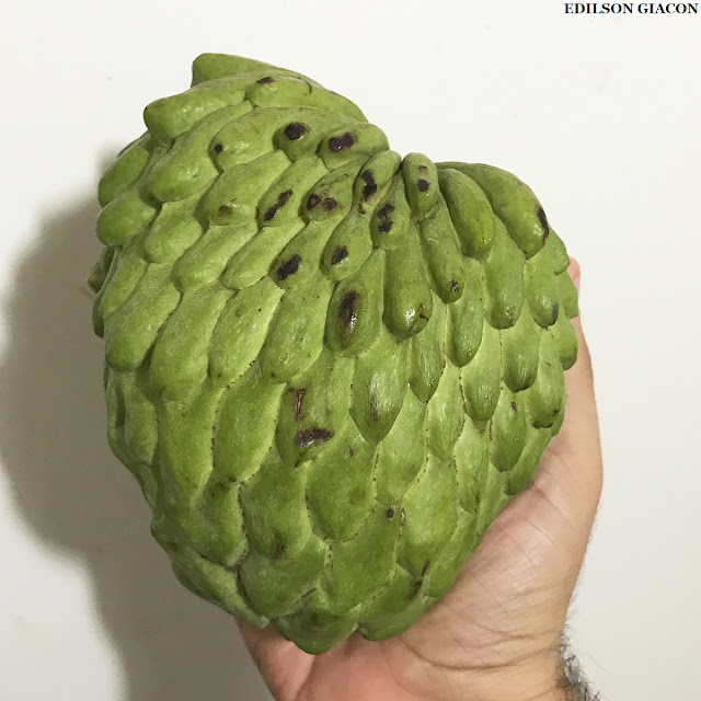 Viveiro Ciprest - Plantas Nativas e Exóticas: Atemoya ou Atemoia ...