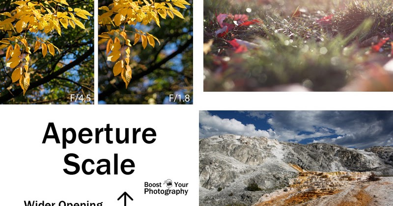 Top 5 Posts on Aperture | Boost Your Photography