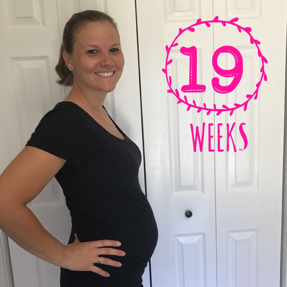 Thy Will Be Done. A Journey Through Surrogacy: 19 Week Check In