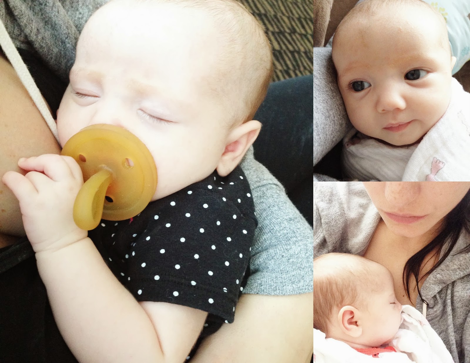 Ashlea Carlin: January 2014