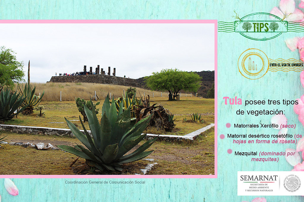 Parque Nacional Tula