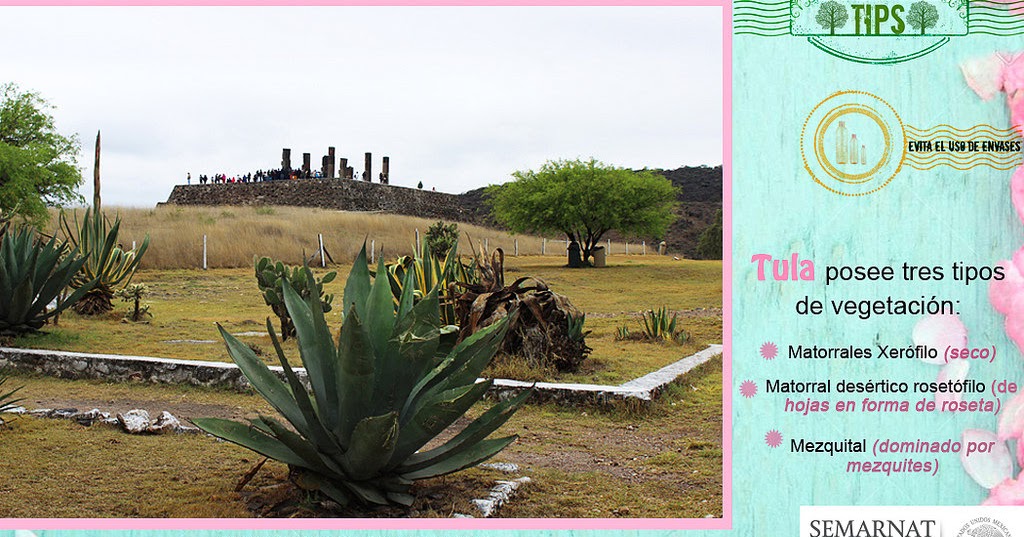 Parque Nacional Tula