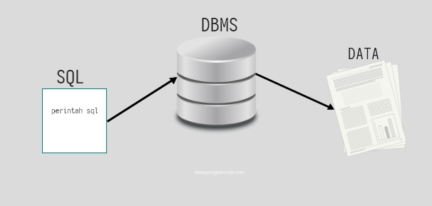 Apa Itu SQL: Berkenalan dengan Bahasa SQL - Dewa Programmer