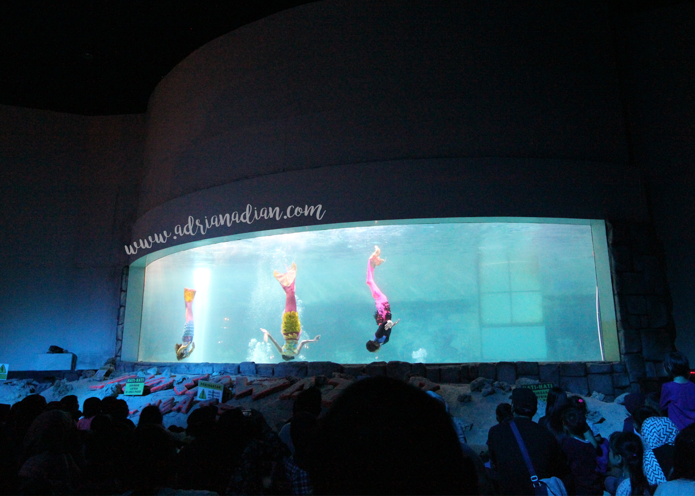 Liburan ke Ocean Dream Samudra Ancol Yuk!