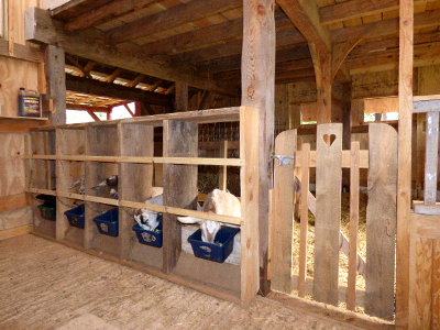 Kikobian Kinders: Farm Tour