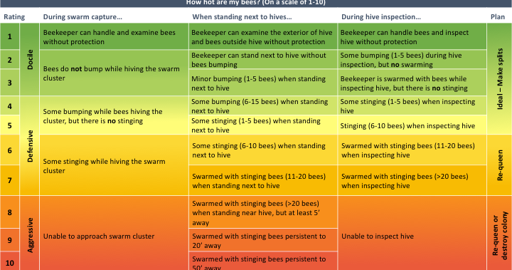 Happy Hour at the Top Bar: How hot are my bees?