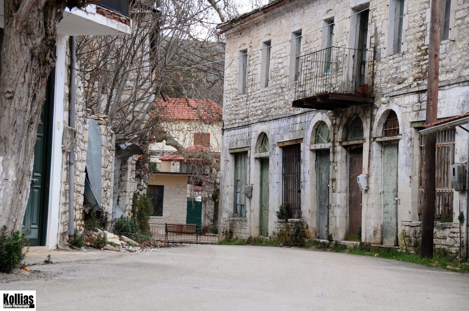 e-photographos: ΠΩΓΩΝΙΑΝΗ