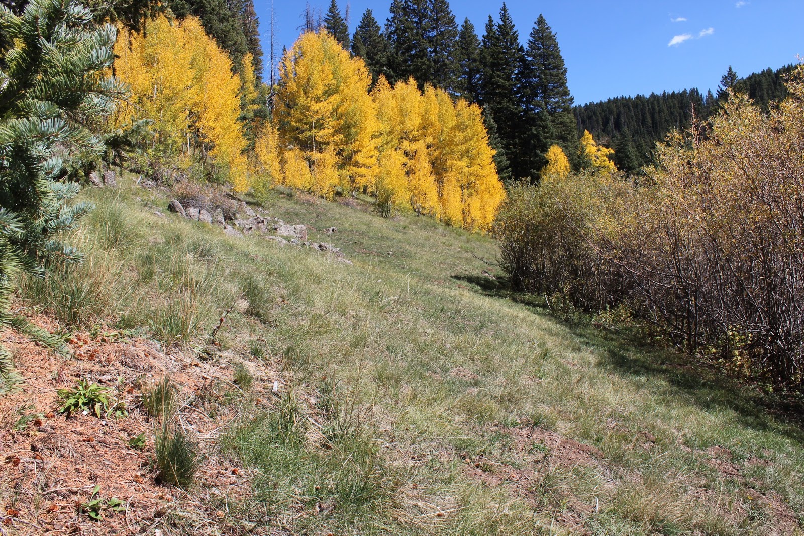 gjhikes.com: Carson Lake