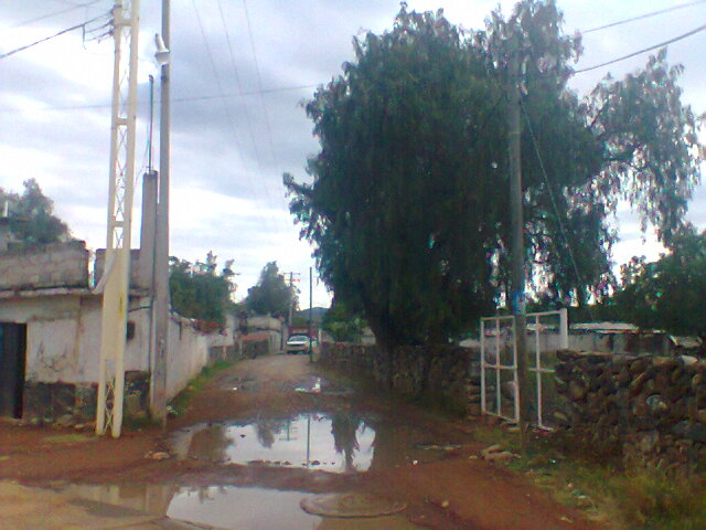 SAN SEBASTIAN COLONIA SANTO NIÑO