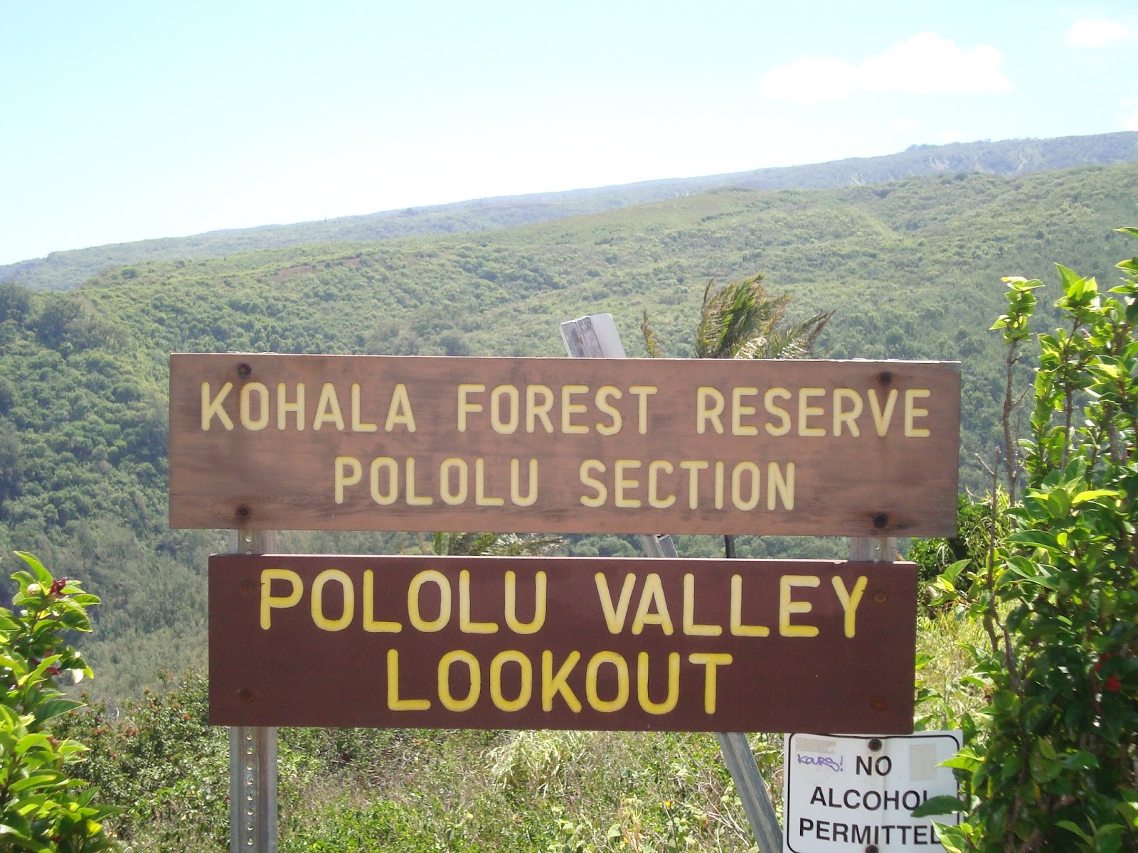 Aloha On My Mind: Aloha to Kohala Forest Reserve - Pololu Valley Lookout