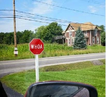Just A Car Guy: Amish stop sign
