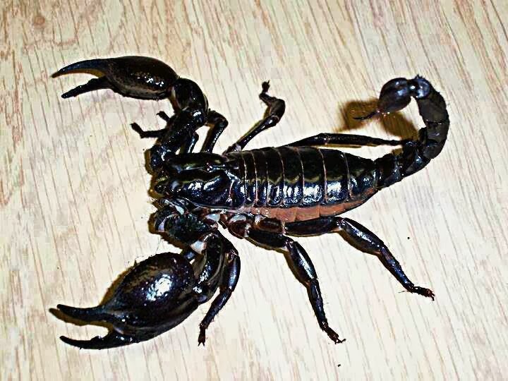 KALA JENGKING NERAKA - Sharing My Ceritera