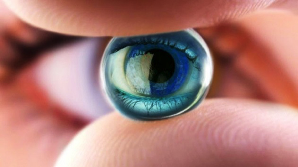 Anatomia Aplicada: EL OJO