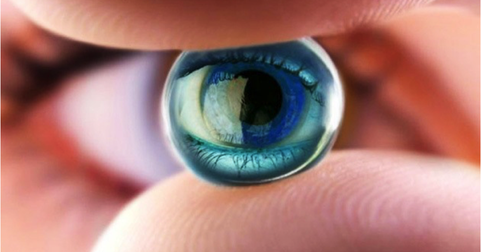 Anatomia Aplicada: EL OJO