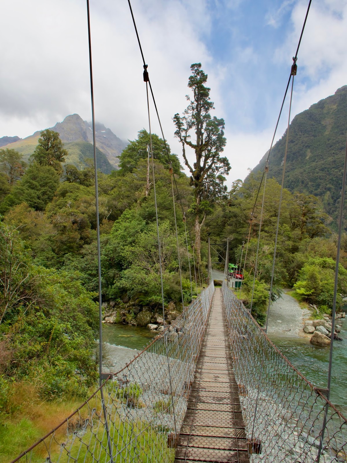 The Ninja Librarian: Photo Friday: The Hollyford Track