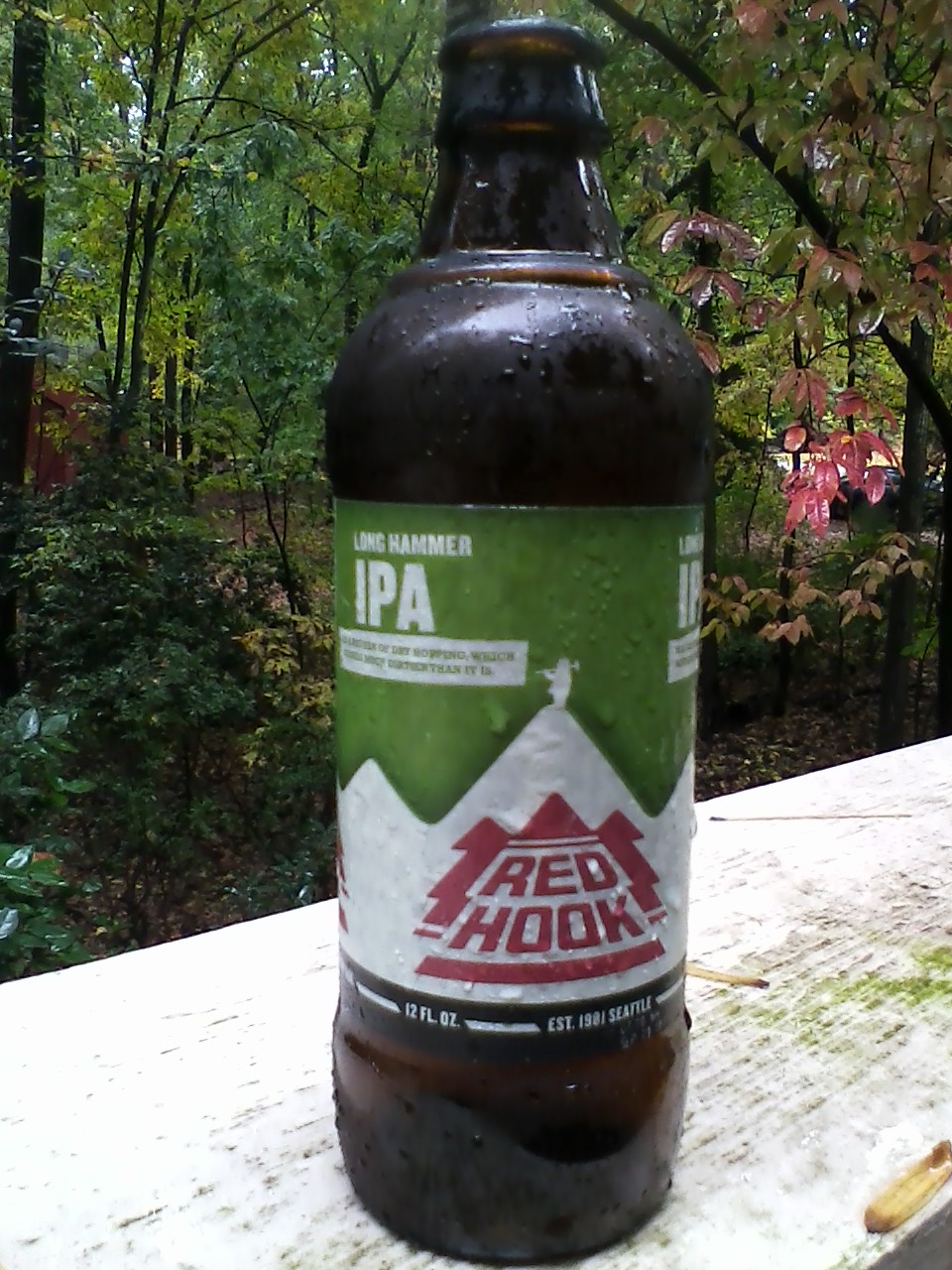 Redhook Long Hammer IPA | I Love The Sauce