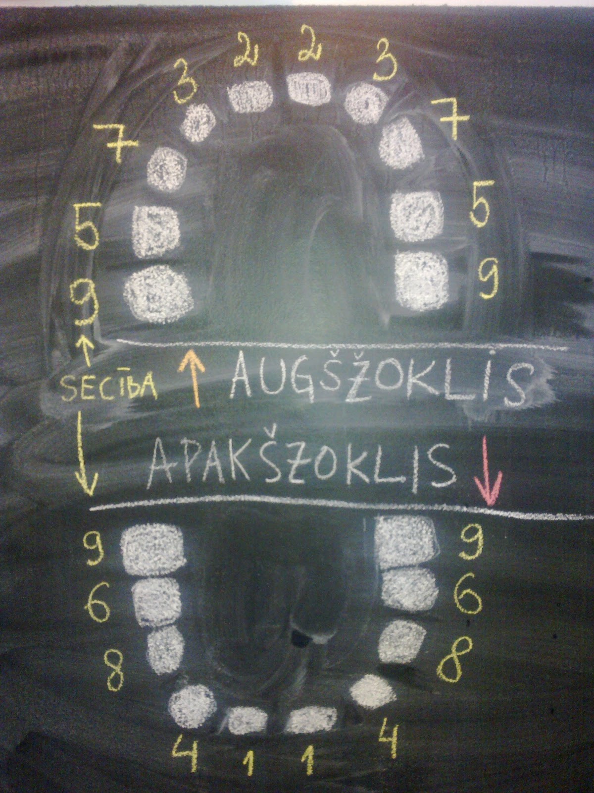 Pērļu mamma.: Bērna zobu attīstība un kopšana.