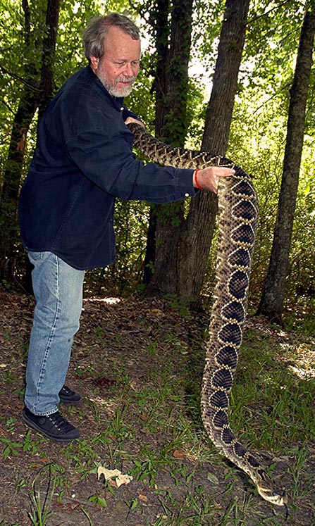 Bushmaster Snake Bite