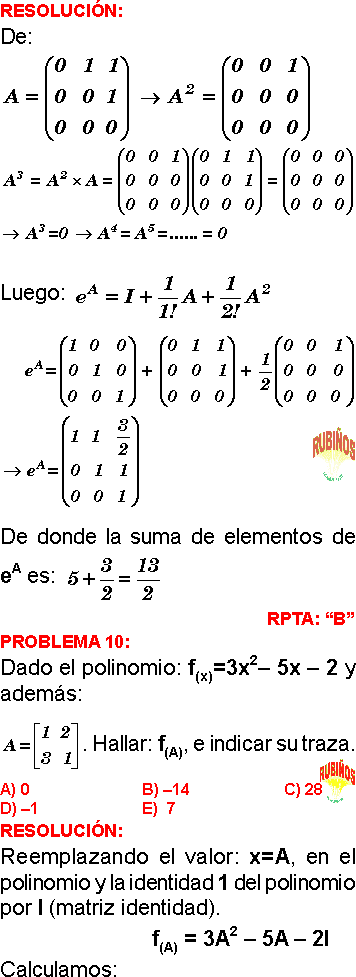 MATRICES EJERCICIOS RESUELTOS PDF