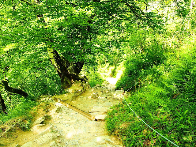 Best Pyrenees Photos: What is Nature - Larrau - Pyrenees - France