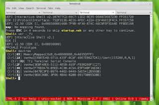 SYS$OUTPUT: Porting TianoCore to a new architecture