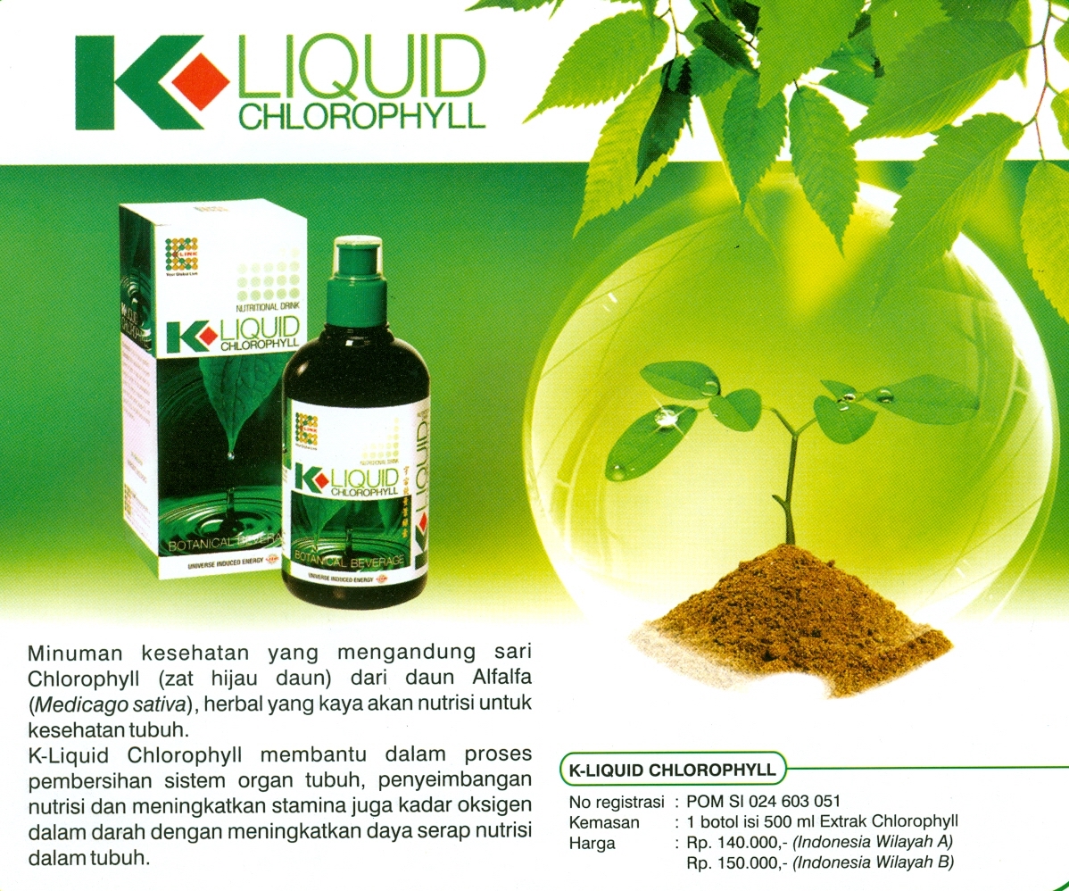 ECHKO's: Produk K-Link