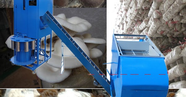 Oyster machinery for mushroom farm: Oyster farm use automatic mushroom ...