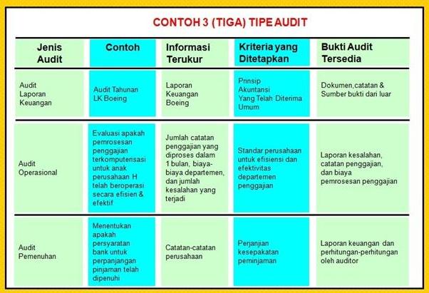 Captain Vie: Profesi Audit