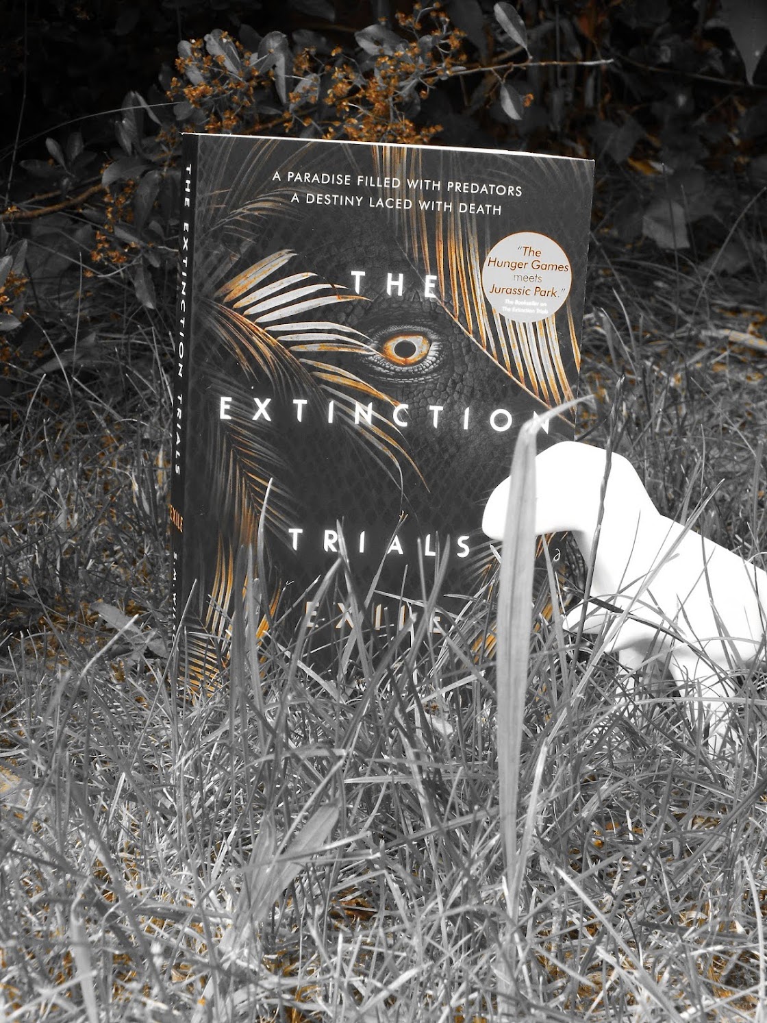 The Exploding Book by Mike Russell