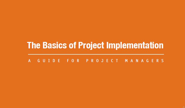 The Basics of Project Implementation: A Guide for Project Managers ...