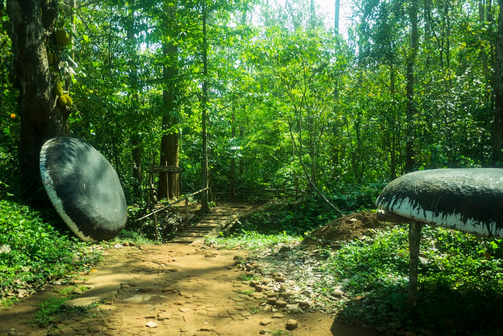 Places to visit in Kerala: Adavi Eco Tourism, Konni, Pathanamthitta Kerala