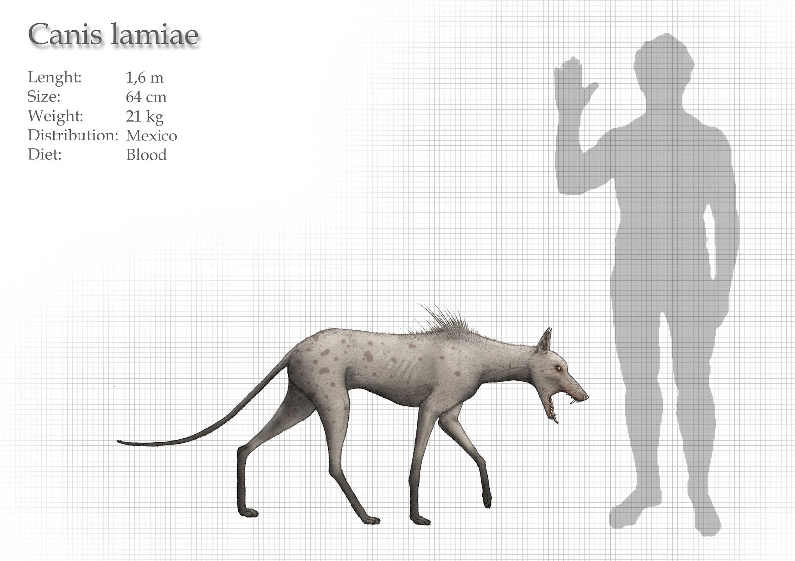 Mythical Animals: Chupacabra