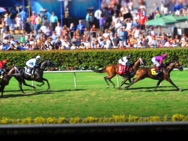Passports and Prada: At The Races.