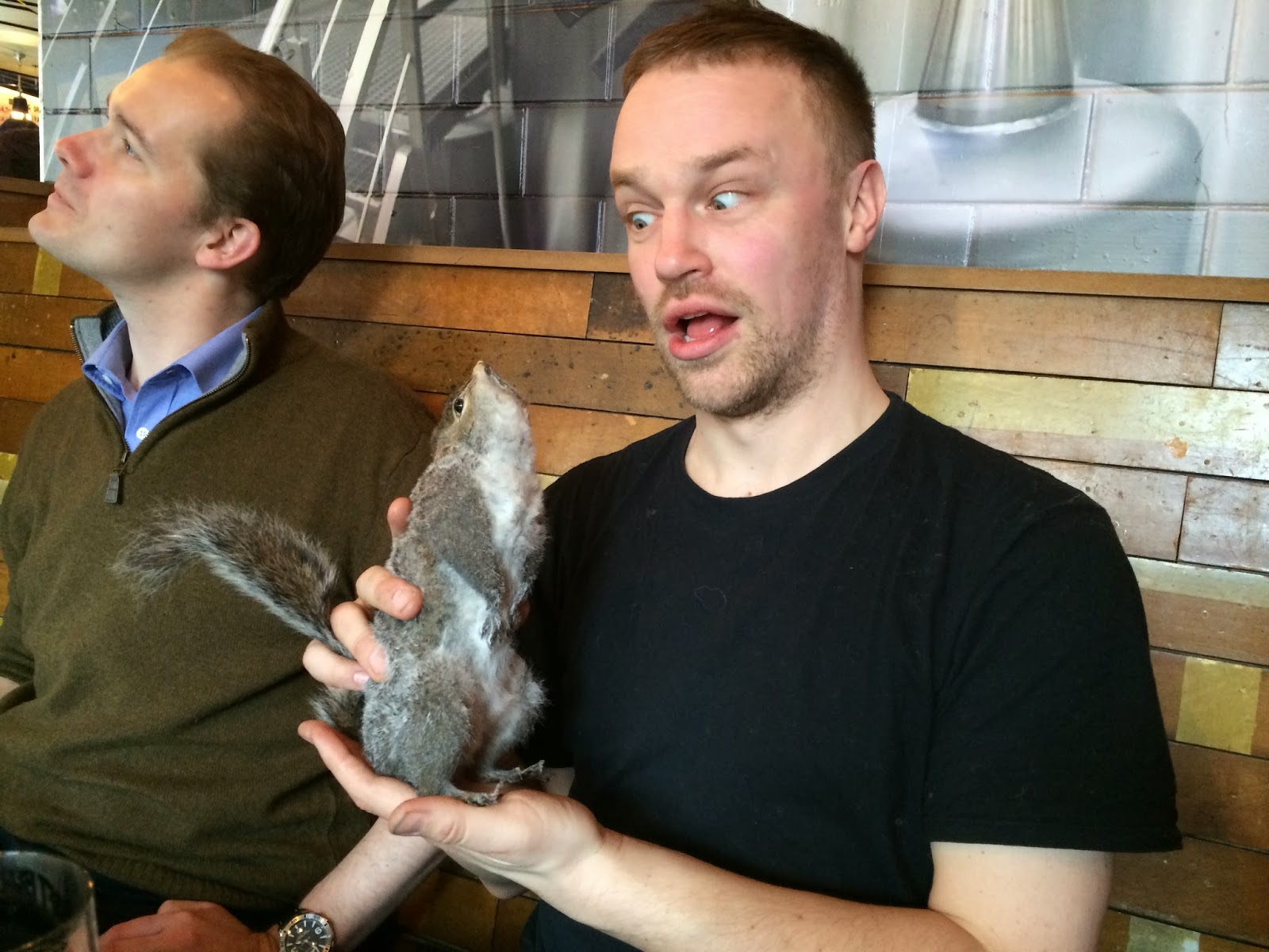 Gullible's Travels: BrewDog London: Craft Beer and Cheese Tasting