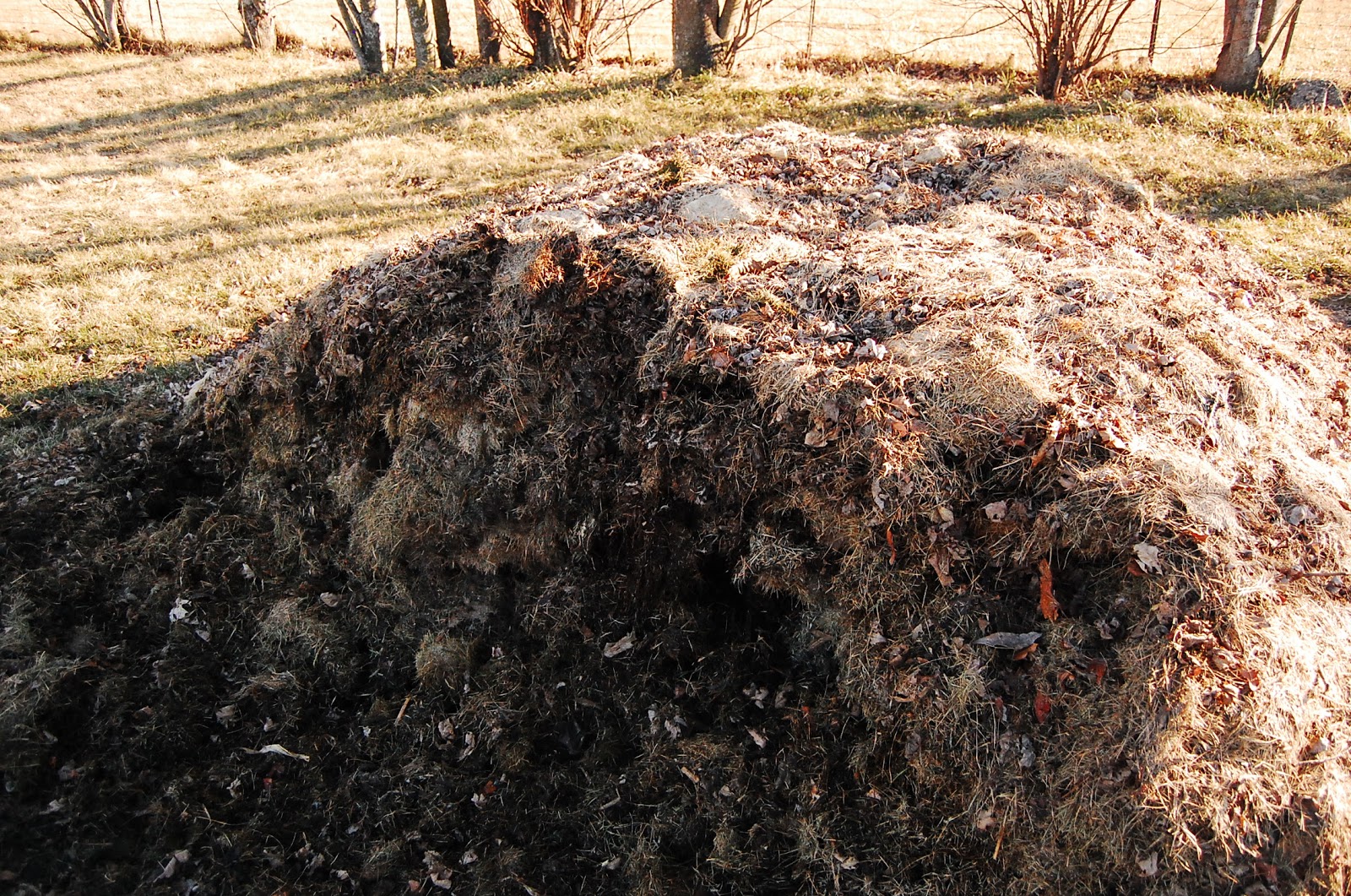 got serenity?: Golden Day with Rotten Hay