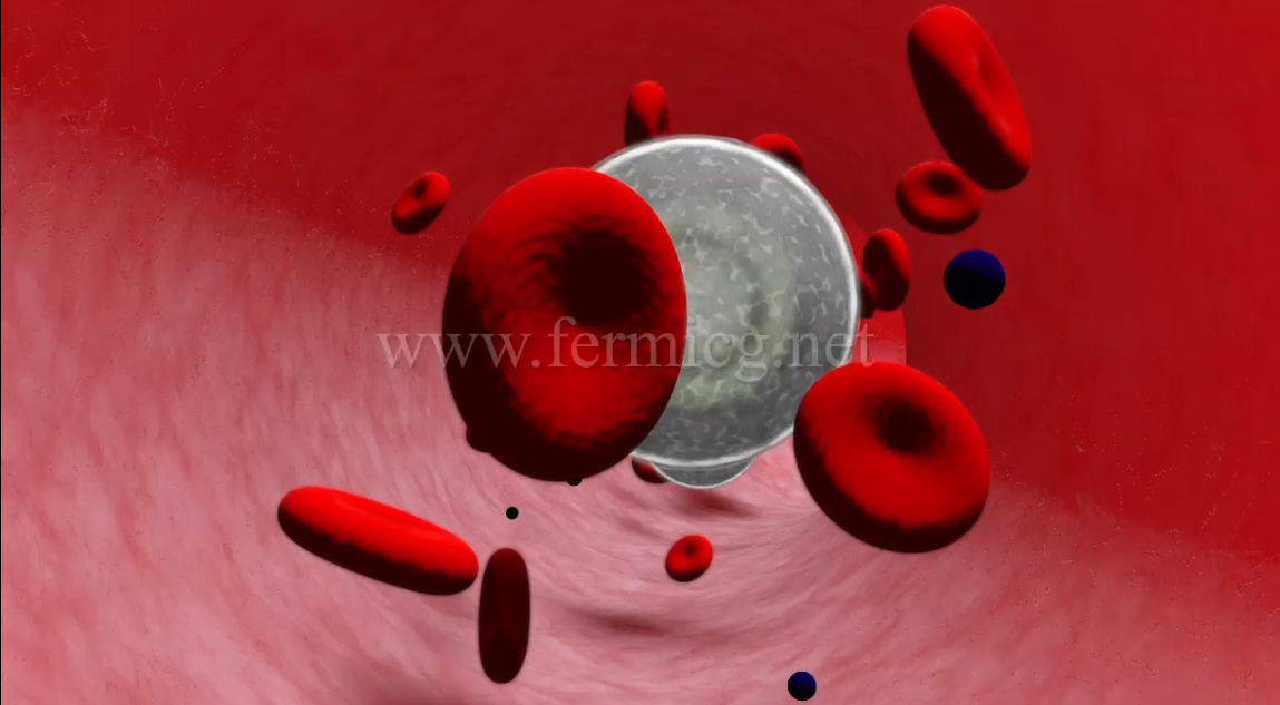 Blood Cell Animation ~ AnimKerala