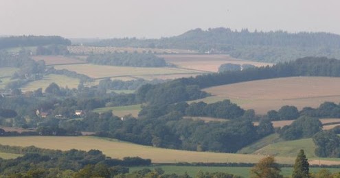 Content in a Cottage: Ferne Park House