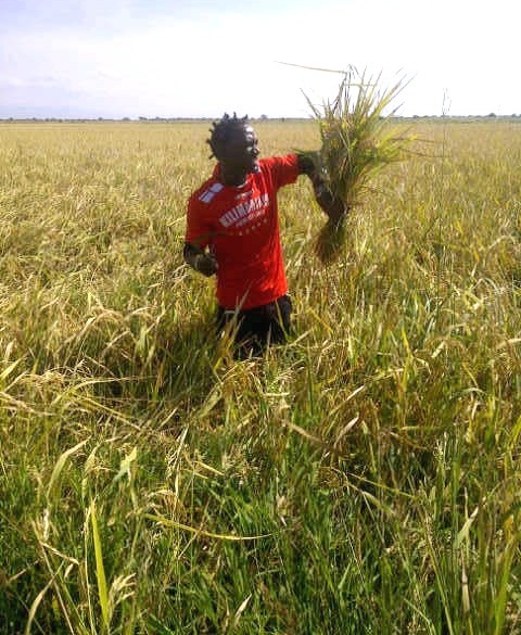 Utajiri wa komediani maarufu Bongo, Emmanuel Mgaya Masanja Mkandamizaji ...