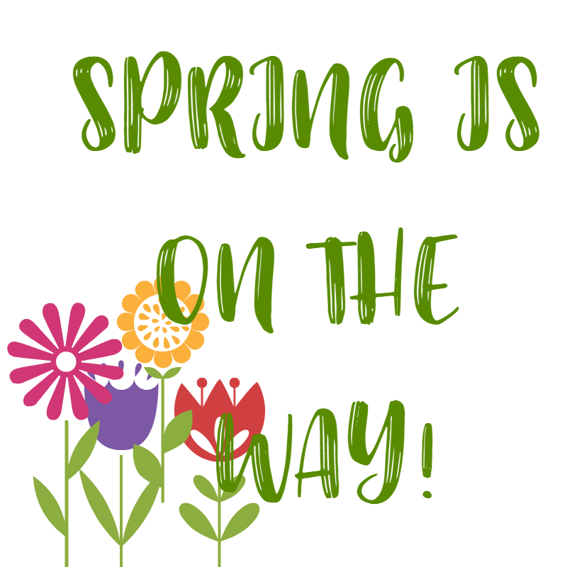 The Answer Is Chocolate