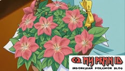 Bagaimana cara mendapatkan Gracidea Flower untuk Shaymin di Platinum ...