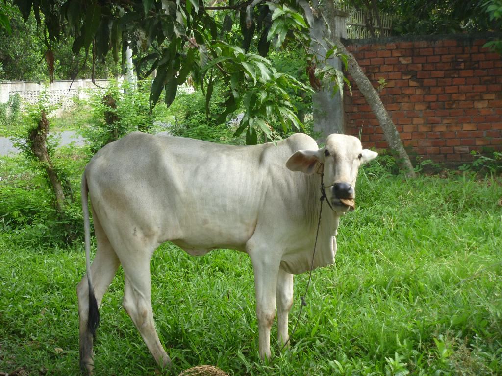 Grammy Googie: Candy is slippery...