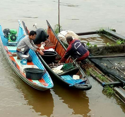 Menikmati Keindahan Danau Semayang di Desa Pela ( Kota Bangun ) - Jejak ...
