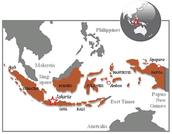 INDONESIAN COCOA: Indonesian Cocoa History